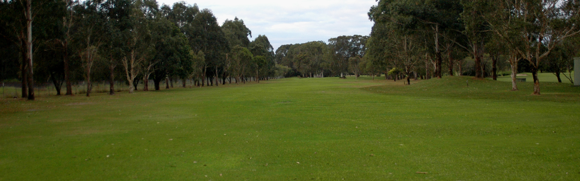 Sawtell Golf Club | Gallery