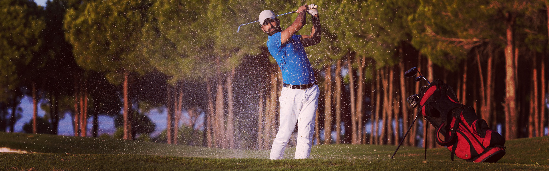 David Golf & Engineering