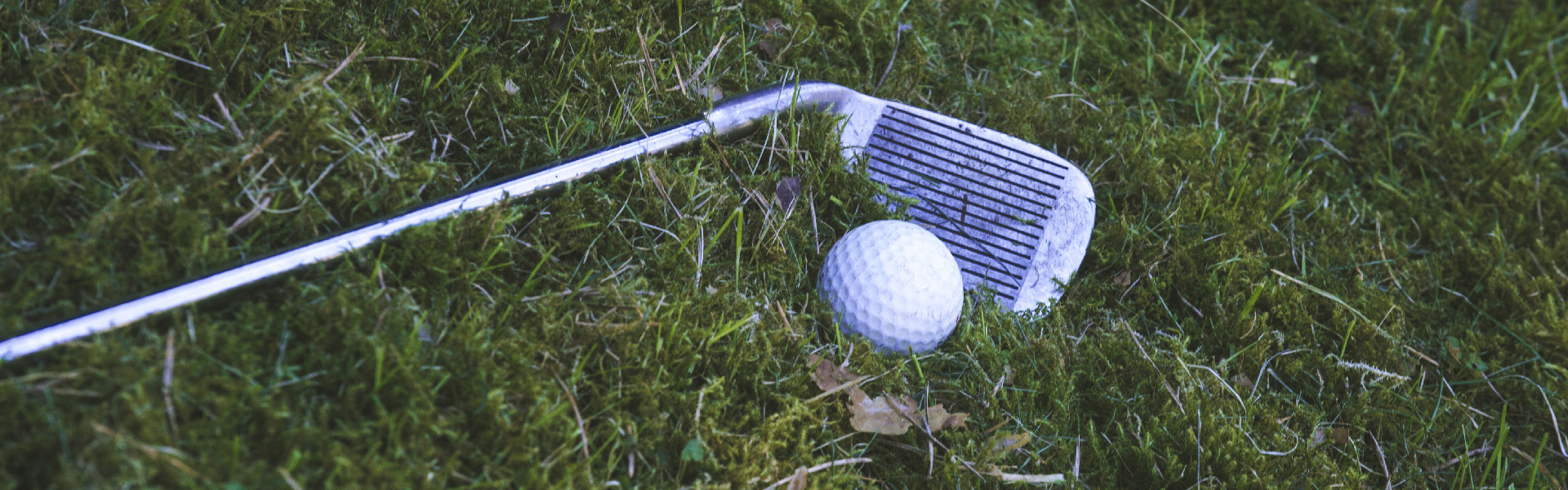 Power Golf Alexandria