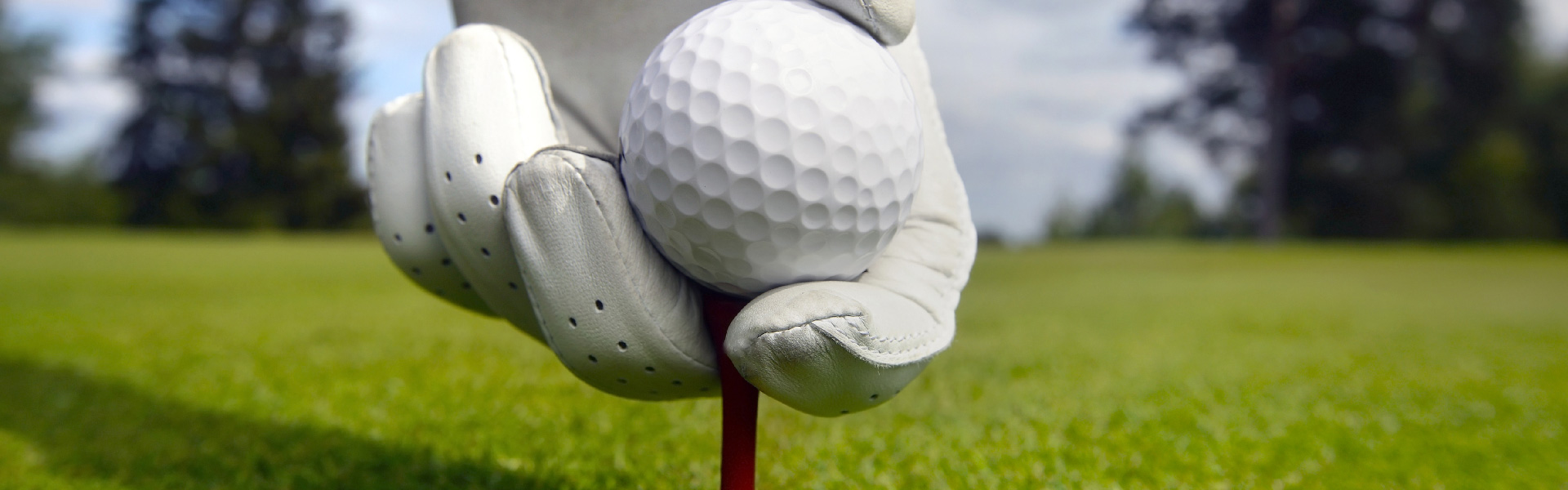 Plenty View Golf Park