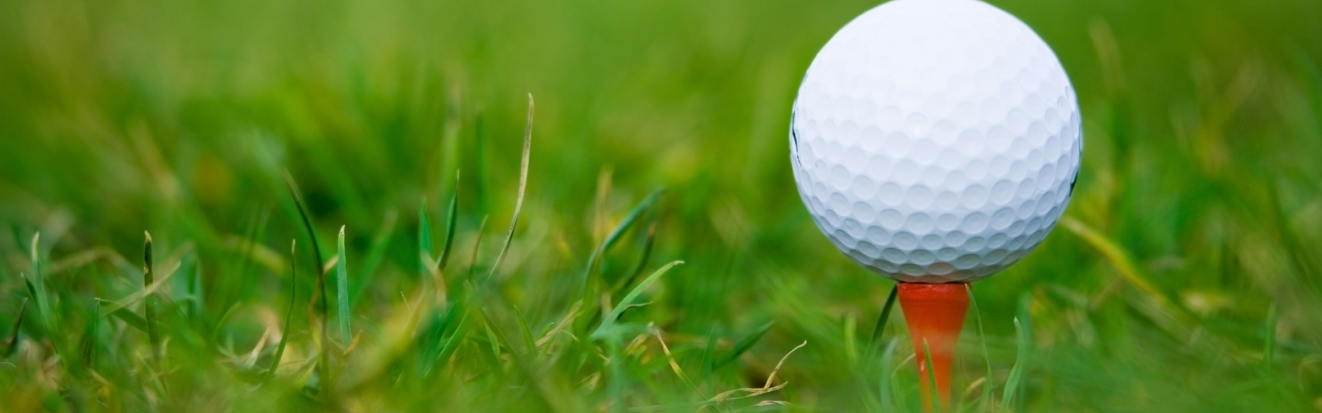 Llandilo Golf Driving Range