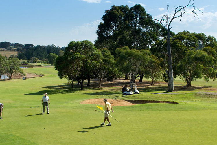 Golfer | Play Your Game