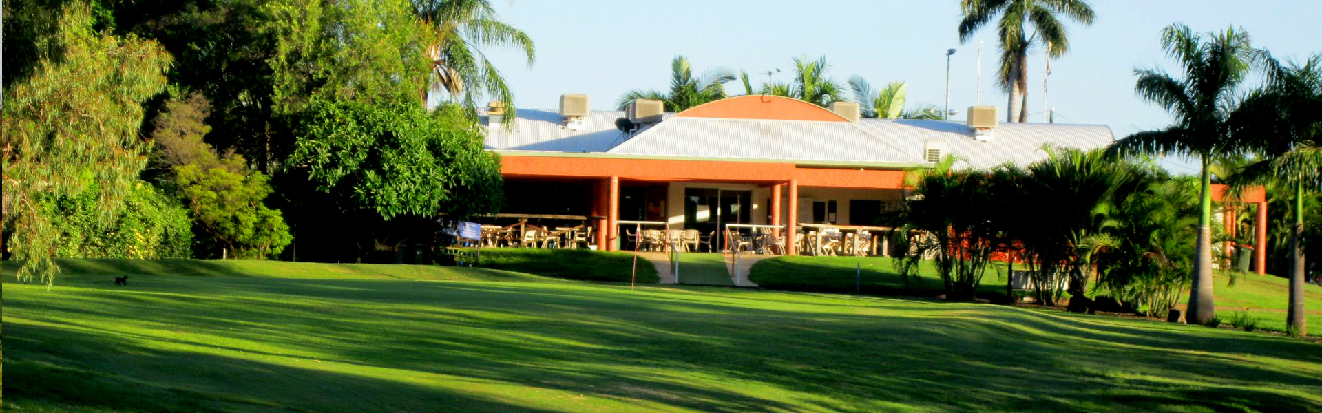 Court Action Emerald