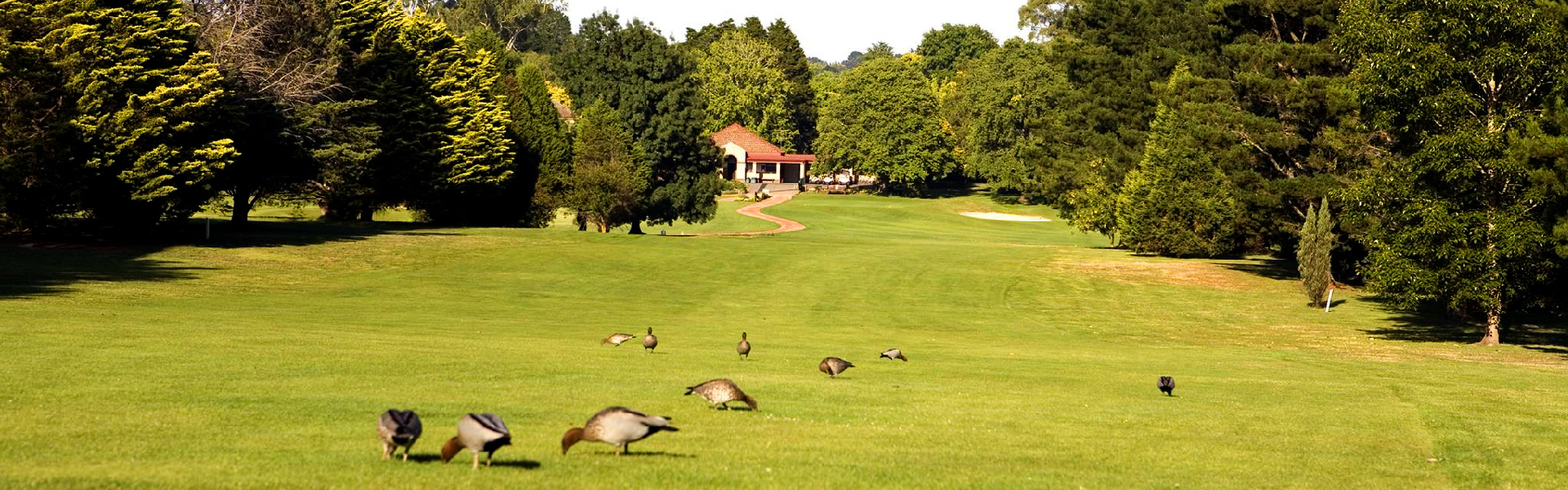 Moss Vale Golf Club