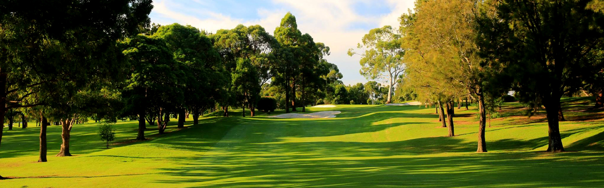 North Ryde Golf Club