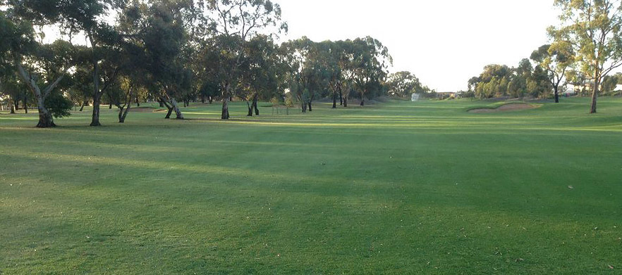 Regency Park Golf Course - 18 holes for Four in Carts just $95, save ...