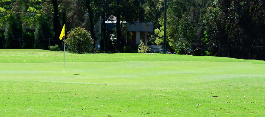 18 Holes for Two in a Motorised Cart & Drinks at Leonay Golf Club! just ...