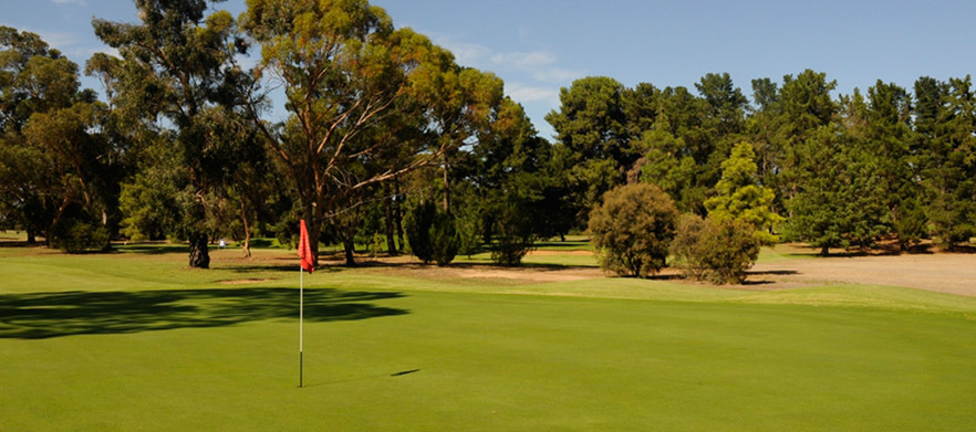 18 Holes For Two in a Motorised Cart & Drinks at Murray Bridge Golf ...
