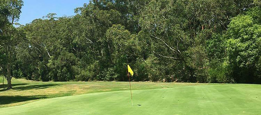 3 Rounds with Pull Buggies at Lane Cove GC! just $45.00, save $35.00 ...