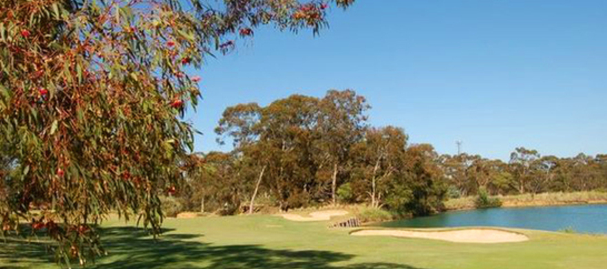 18 Holes For Two in a Motorised Cart With Pie, Chips and a Pint of Beer ...