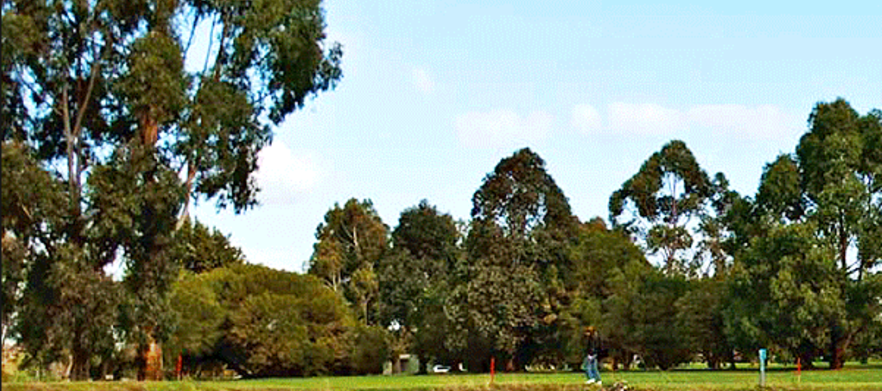 18 Holes for Two in a Shared Motorised Cart with Drinks at Garfield ...