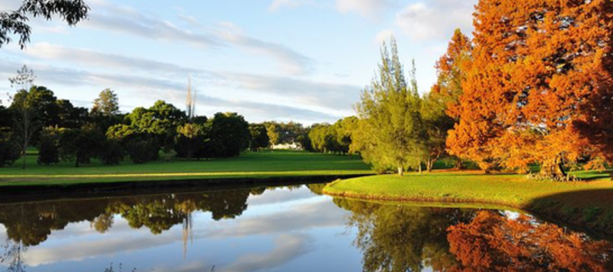 18 Holes For Two in a Motorised Cart with drinks at Nowra Golf Club ...