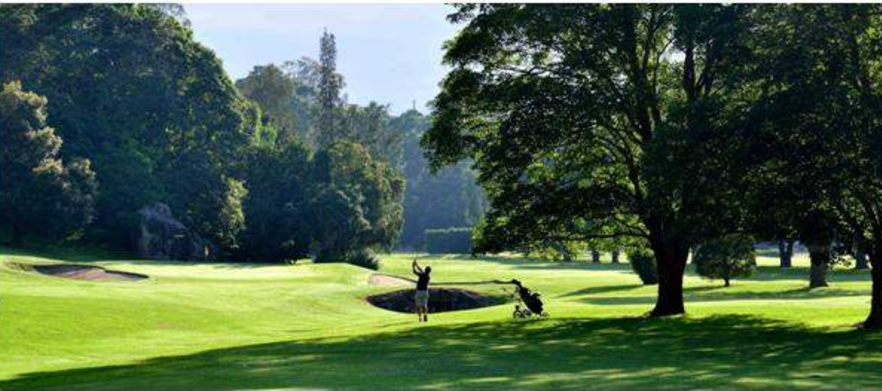 18 Holes For Two in a Motorised Cart with drinks at Nowra Golf Club ...