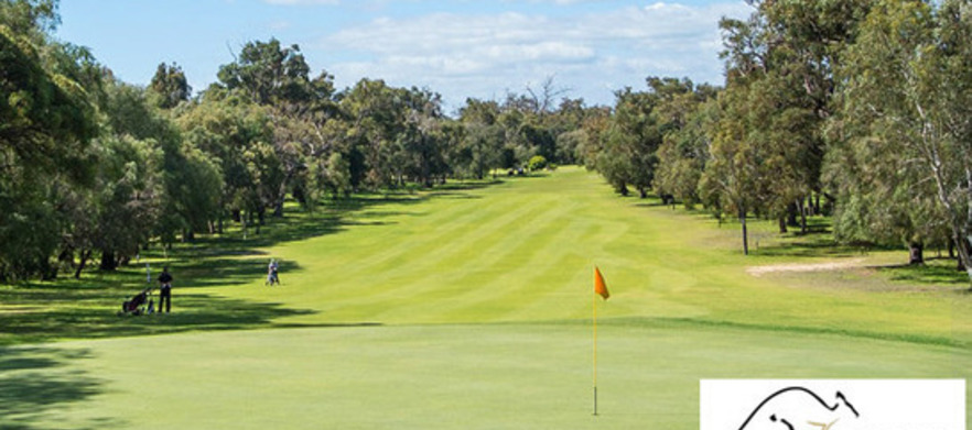 Golf for Two in a Motorised Cart & Beer Each at Capel Golf Club just ...