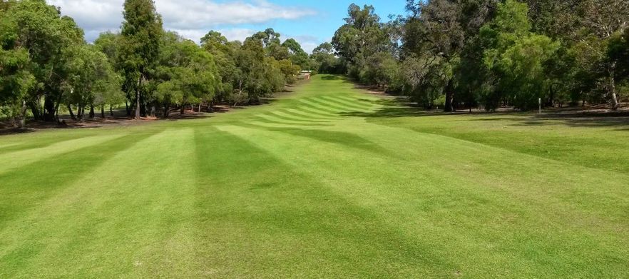 Golf for Two in a Motorised Cart & Beer Each at Capel Golf Club just ...