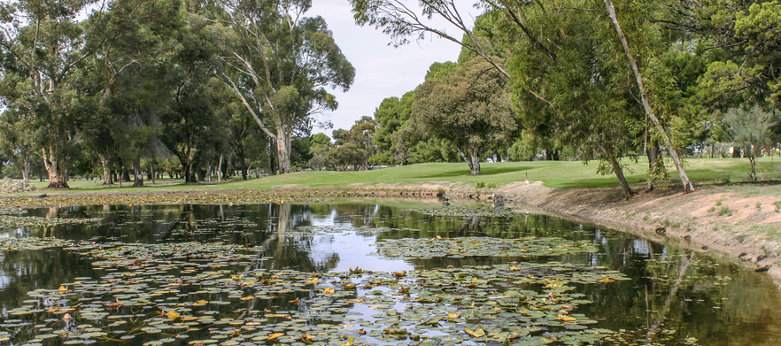 18 Holes for 2 with a Shared Cart & Beers at Robinvale Golf Club! just ...