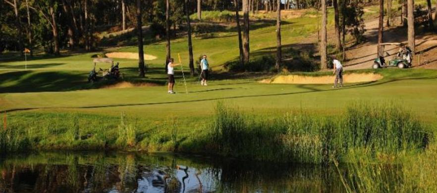 Forest Resort Creswick - Golf for 2 in a Cart With a 60" Canopy ...