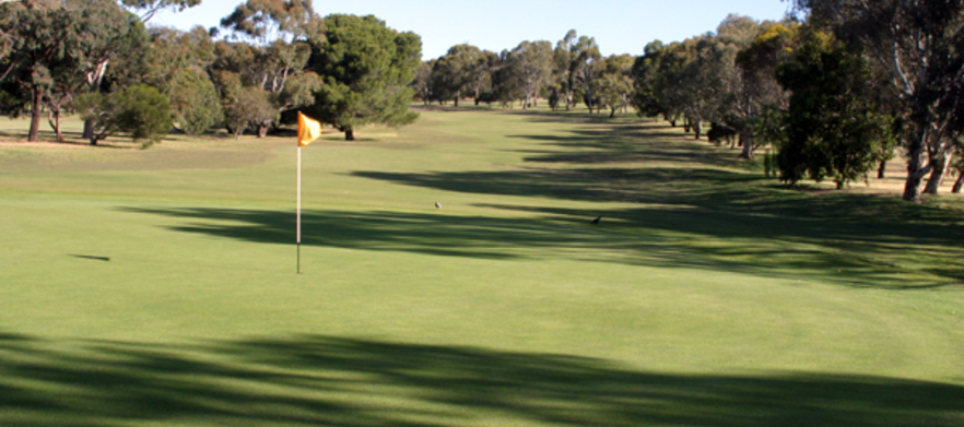 18 Holes at The Vines Championship Golf Course with Beers just $39 ...