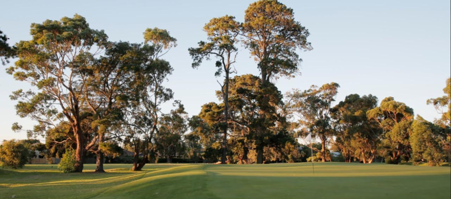 1 Month Guest Pass at Rossdale Golf Club! just $149.00 - New South Wales
