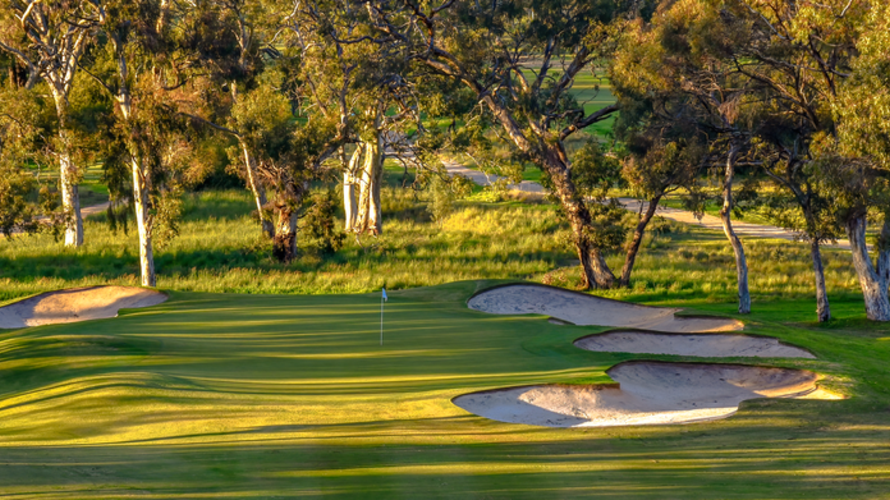 Play the Tanunda Pines Golfer Classic on 17th November 2023 (Walking ...