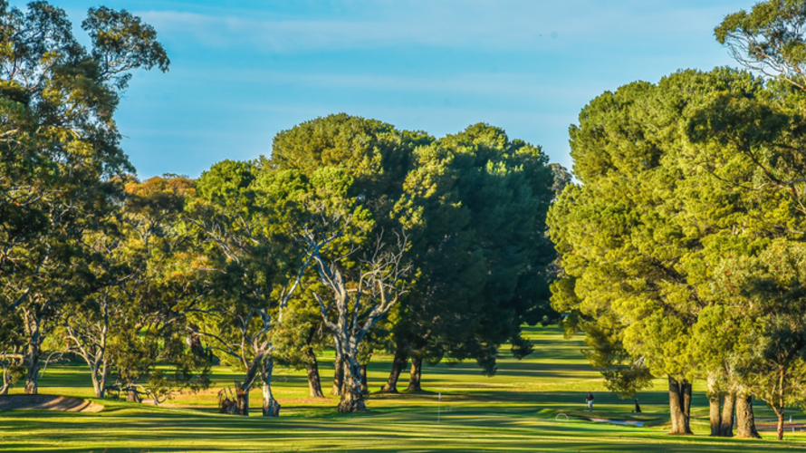 Play the Tanunda Pines Golfer Classic on 17th November 2023 (Walking ...