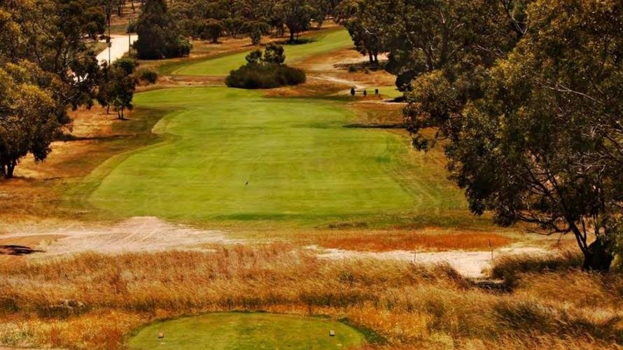 Play the Tanunda Pines Golfer Classic on 17th November 2023 (Walking ...