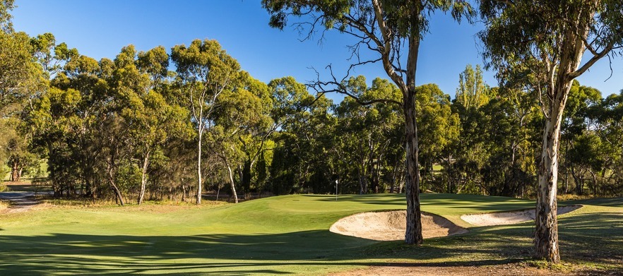 Tea Tree Gully Golfer Classic 19th January 2026 just $129.00 - New ...